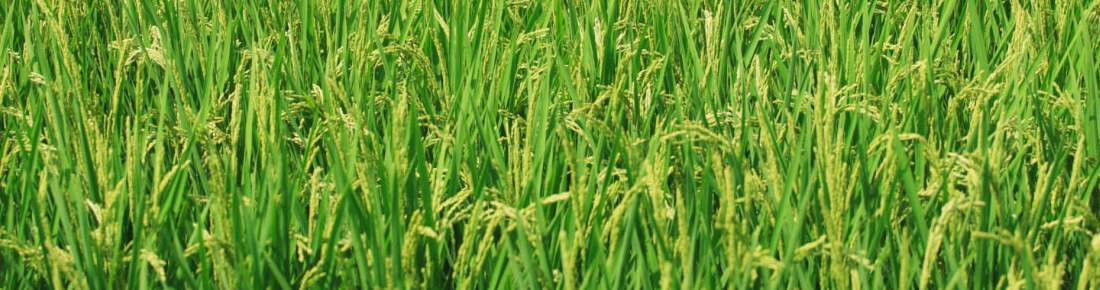 Paleri Management Consultants | Paleri Management Consultant is a ...