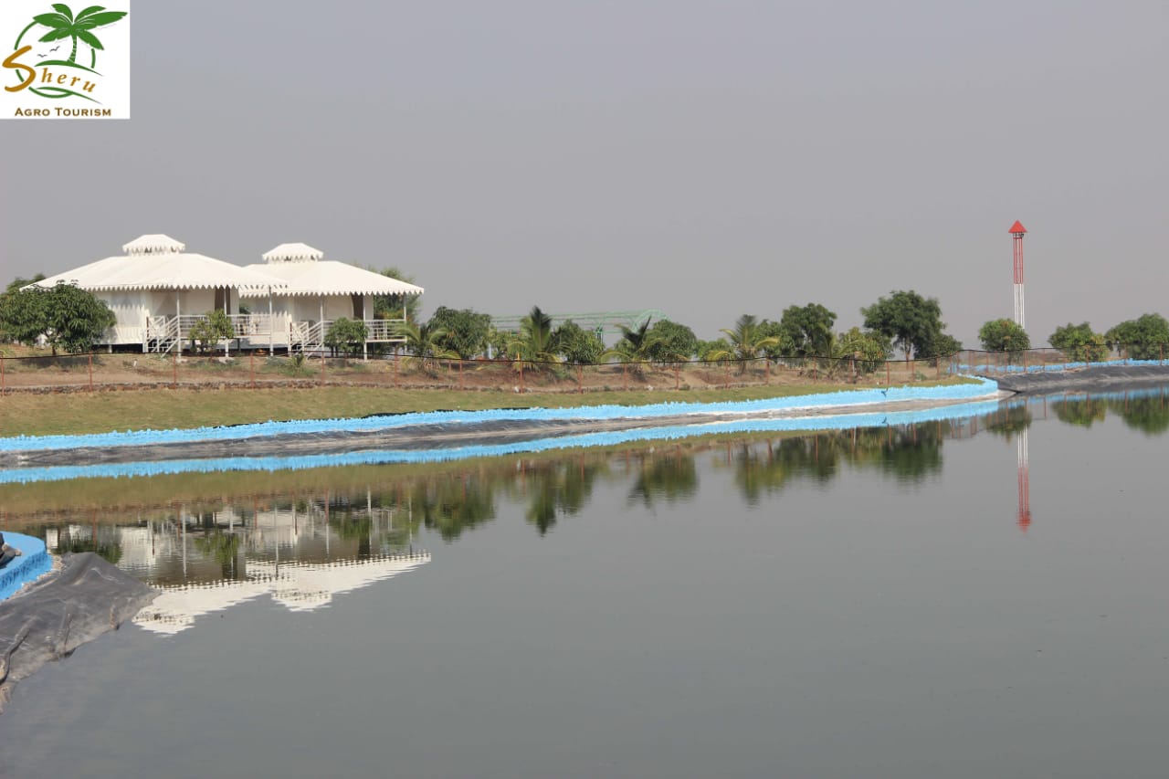 Sheru Agro Tourism | Welcome to Sheru Agro Tourism! We are your one ...