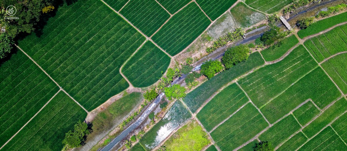 Croplinks- We Serve your Farmneeds in Hyderabad, India