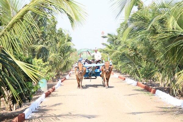 Sheru Agro Tourism - 08048095578 | Sheru is an Agro Tourism Resort ...